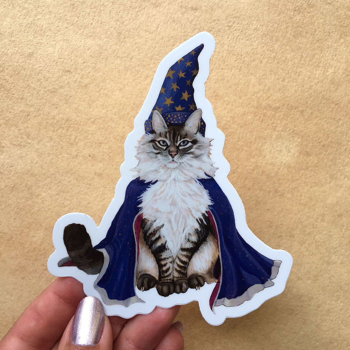 Wizard Cat - Sticker – Amy Rose Moore